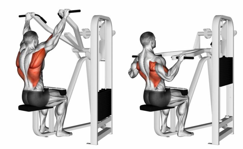 Lats Muscle: Building A Powerful Foundation for Upper-Body Strength ...
