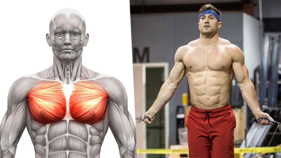 How to Use the Flat Dumbbell Bench Press to Build an Amazing Chest | BOXROX