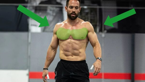 5 Great Exercises To Grow More Chest Muscle Boxrox