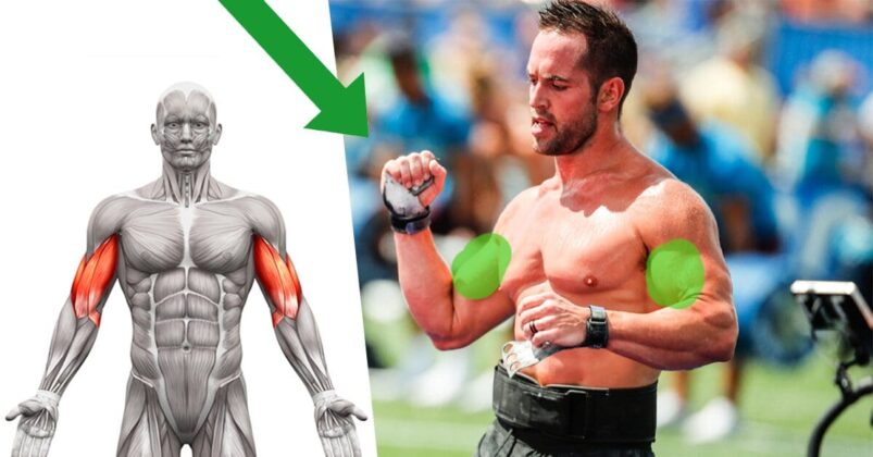 How to grow your biceps in 10 minutes | BOXROX
