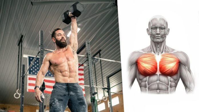5 Best Exercises to build a Perfect Male Physique | BOXROX