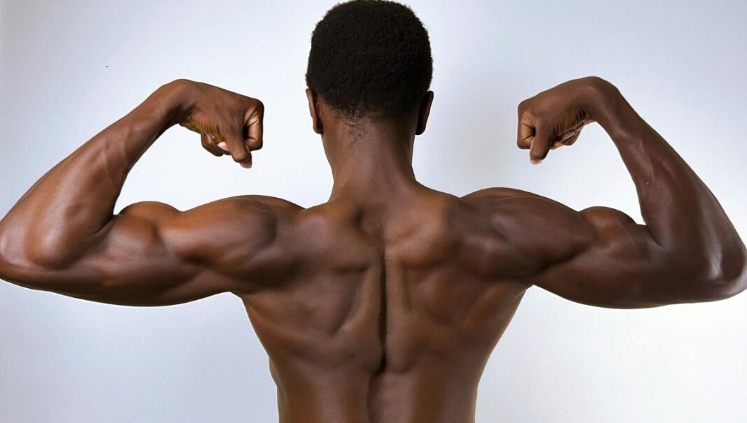 The One Workout That Will Transform Your Back Muscles | BOXROX