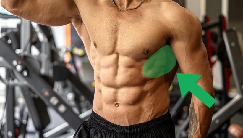 Best Way to Train Your Serratus Anterior: Exercises, Workout ...
